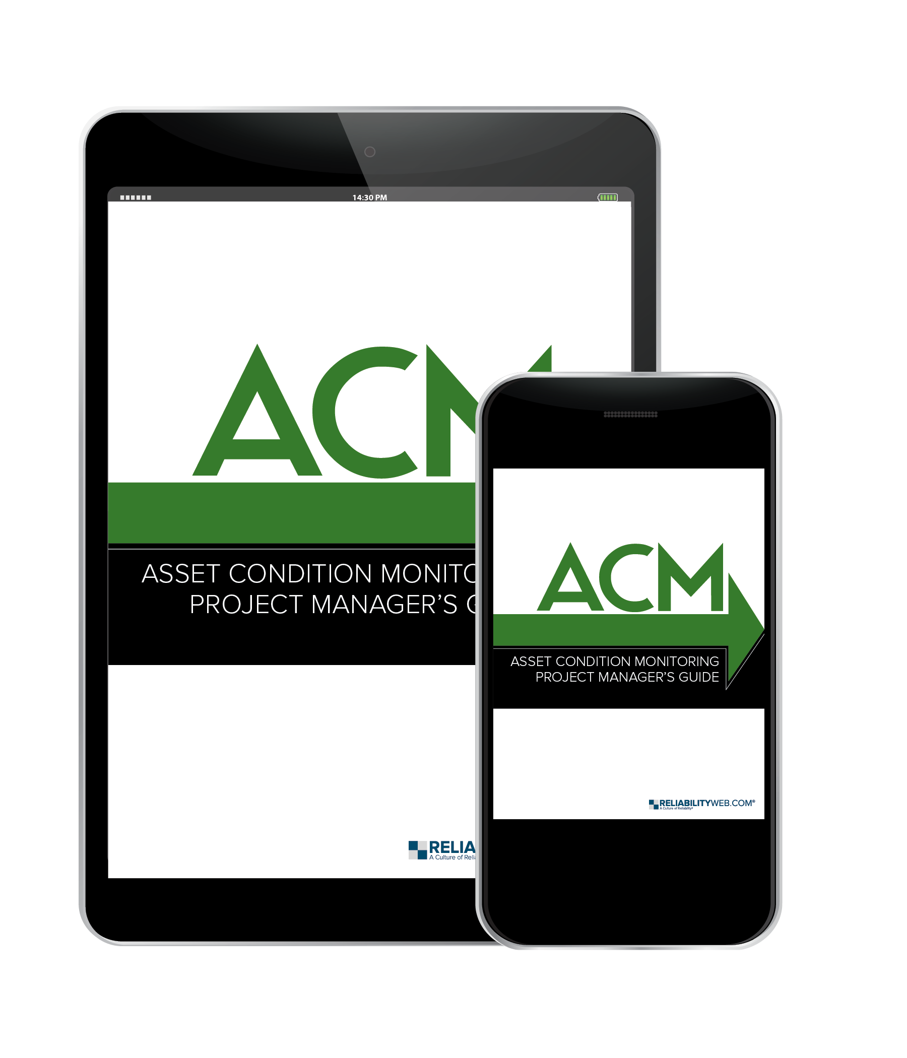 Asset Condition Monitoring Project Managers Guide Reliability